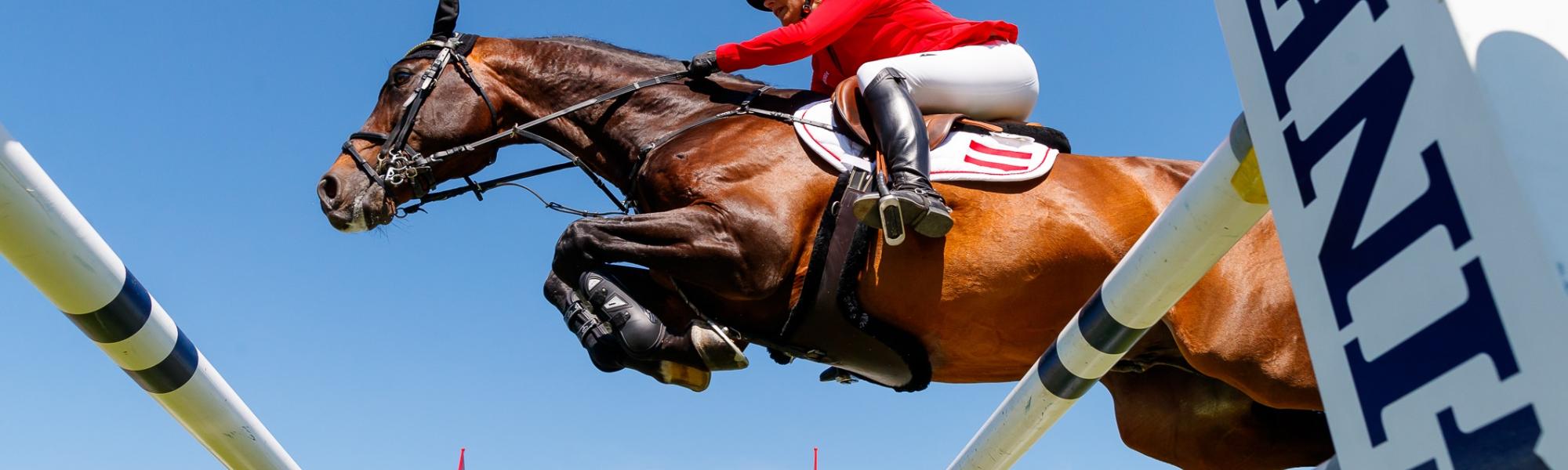 Steirischer Pferdesportverband