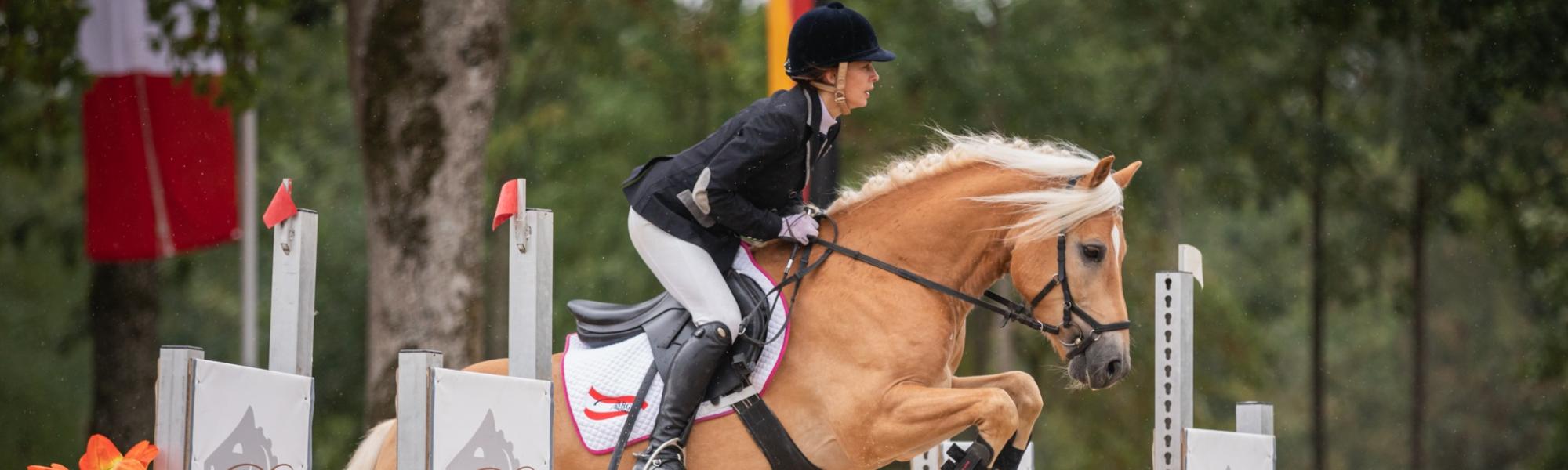 STPS Cups und Meisterschaften Haflinger